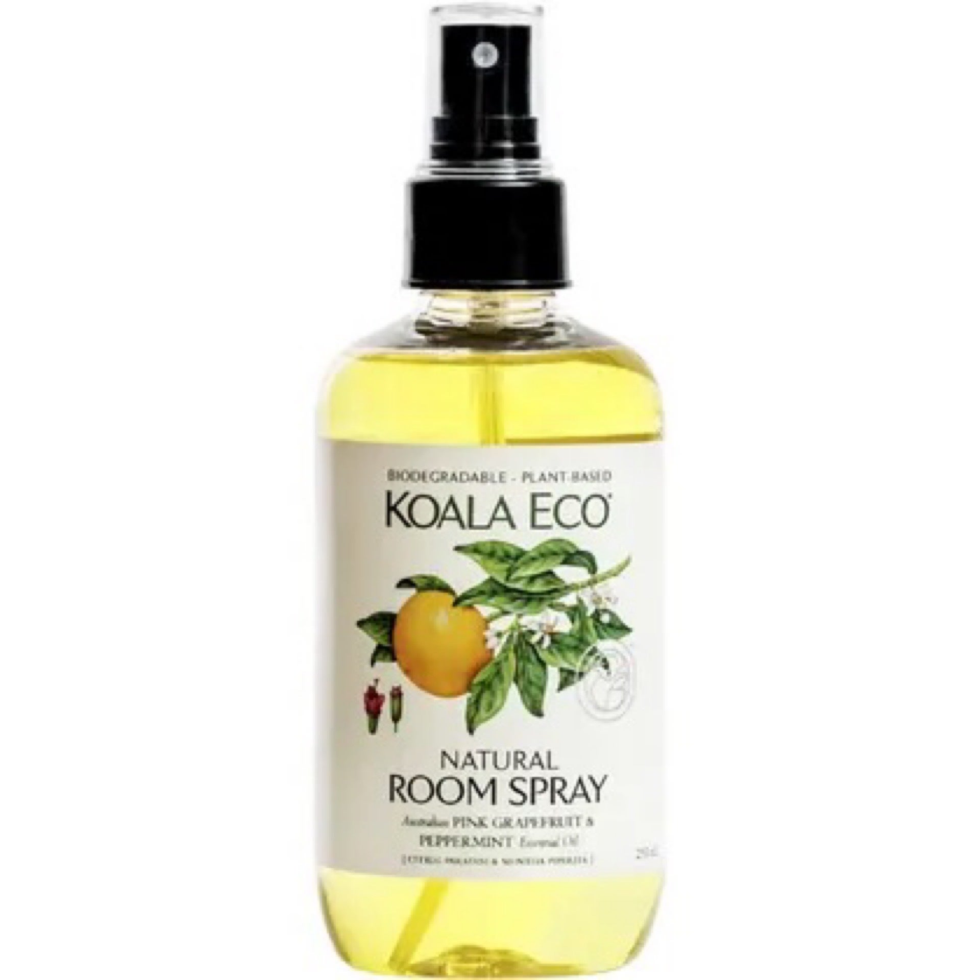 Koala Eco - Room Spray | Tomorrows Earth